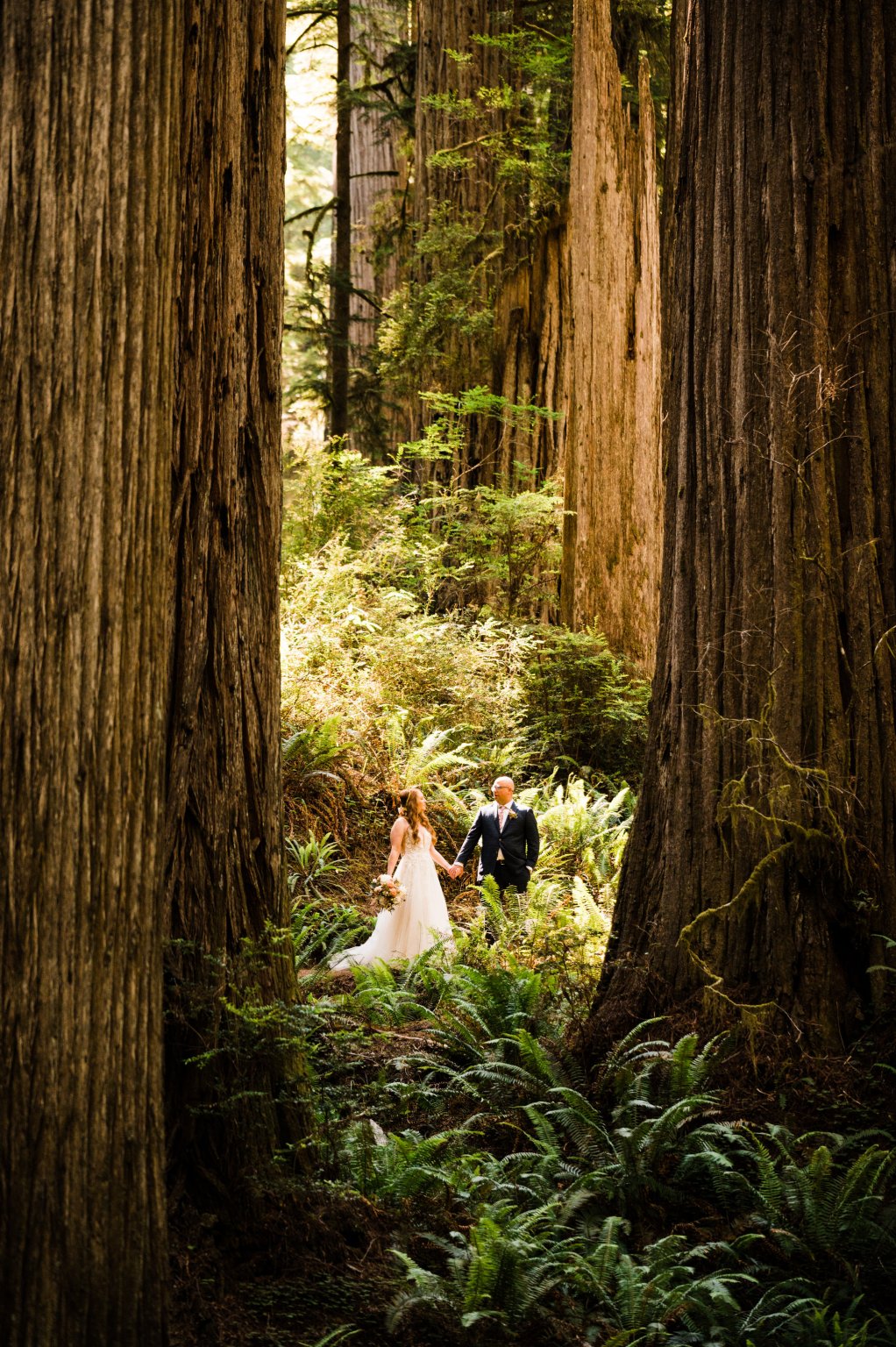 Elope In The Redwoods #1 Redwoods Elopement Photographer