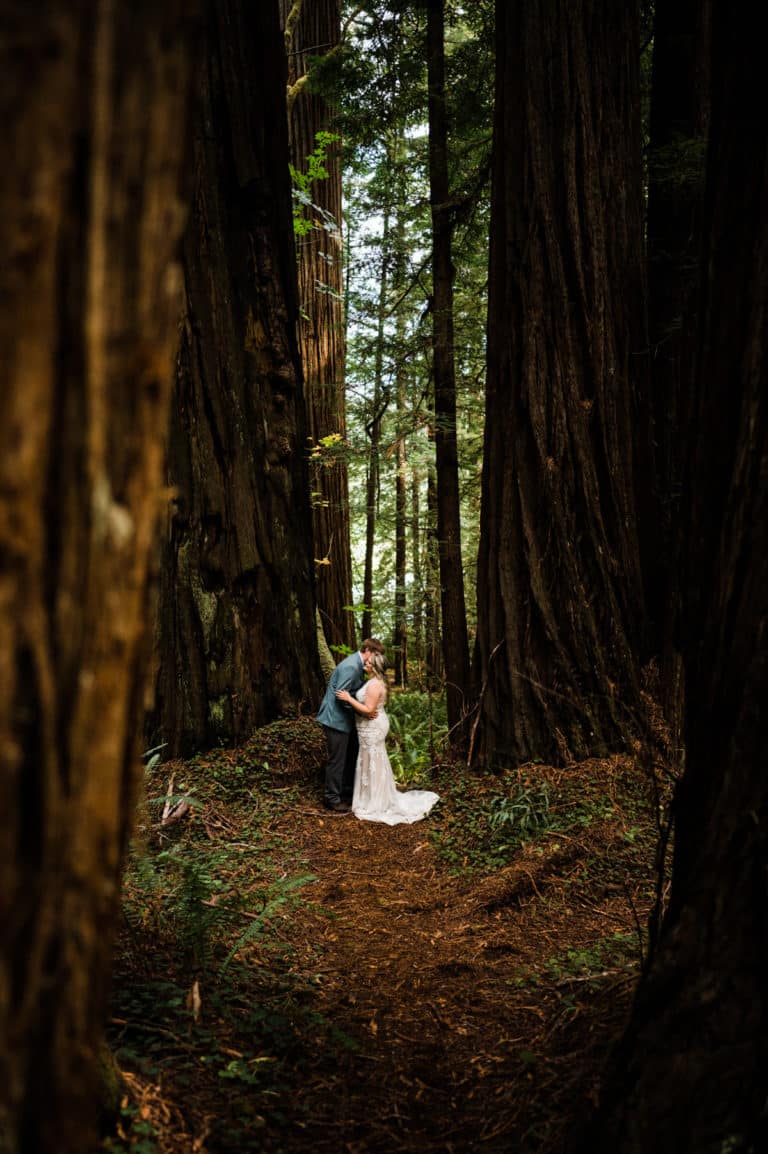 Elope in the Redwoods | ULTIMATE Redwoods Elopement Guide