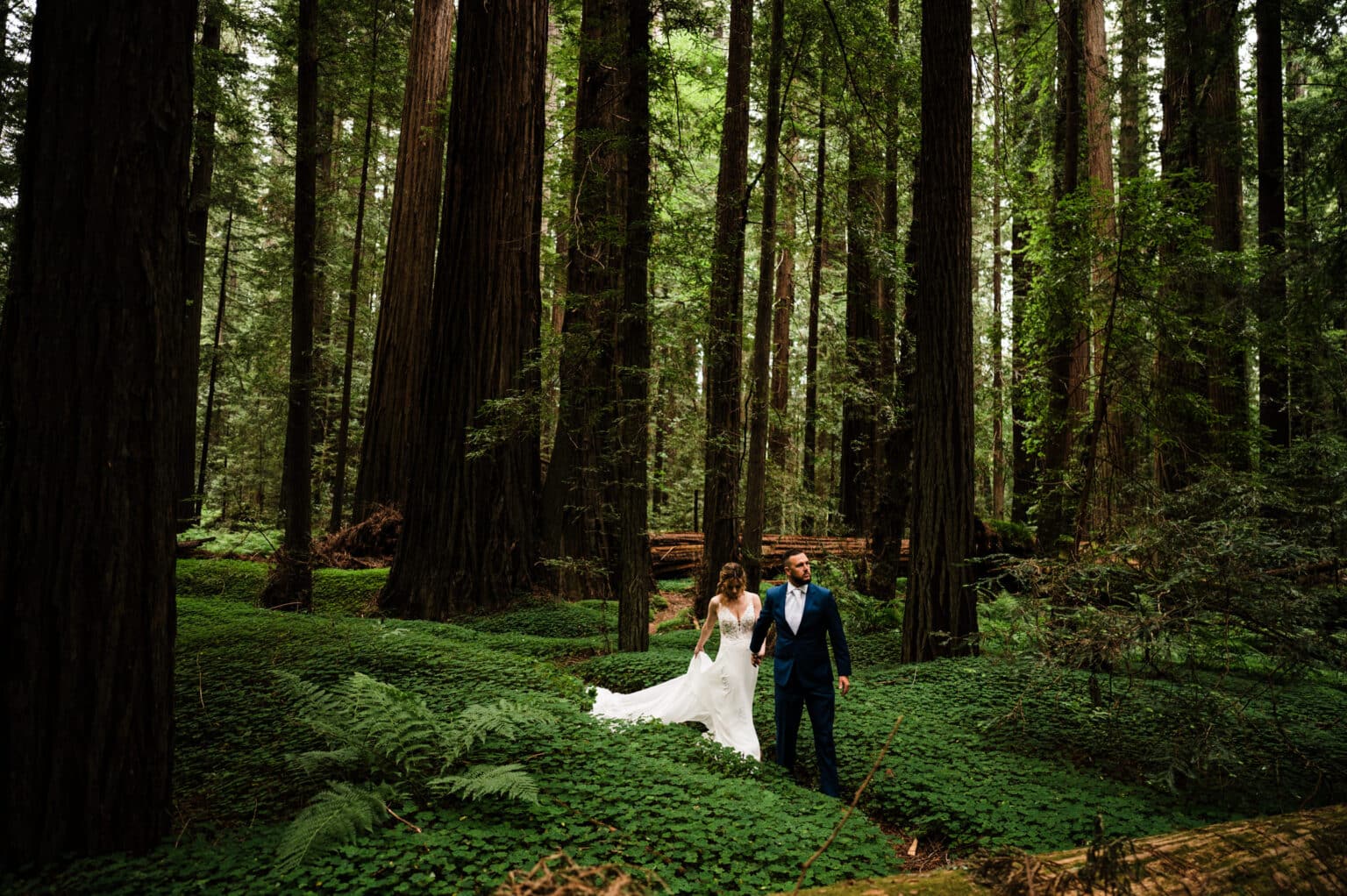 Elope In The Redwoods #1 Redwoods Elopement Photographer