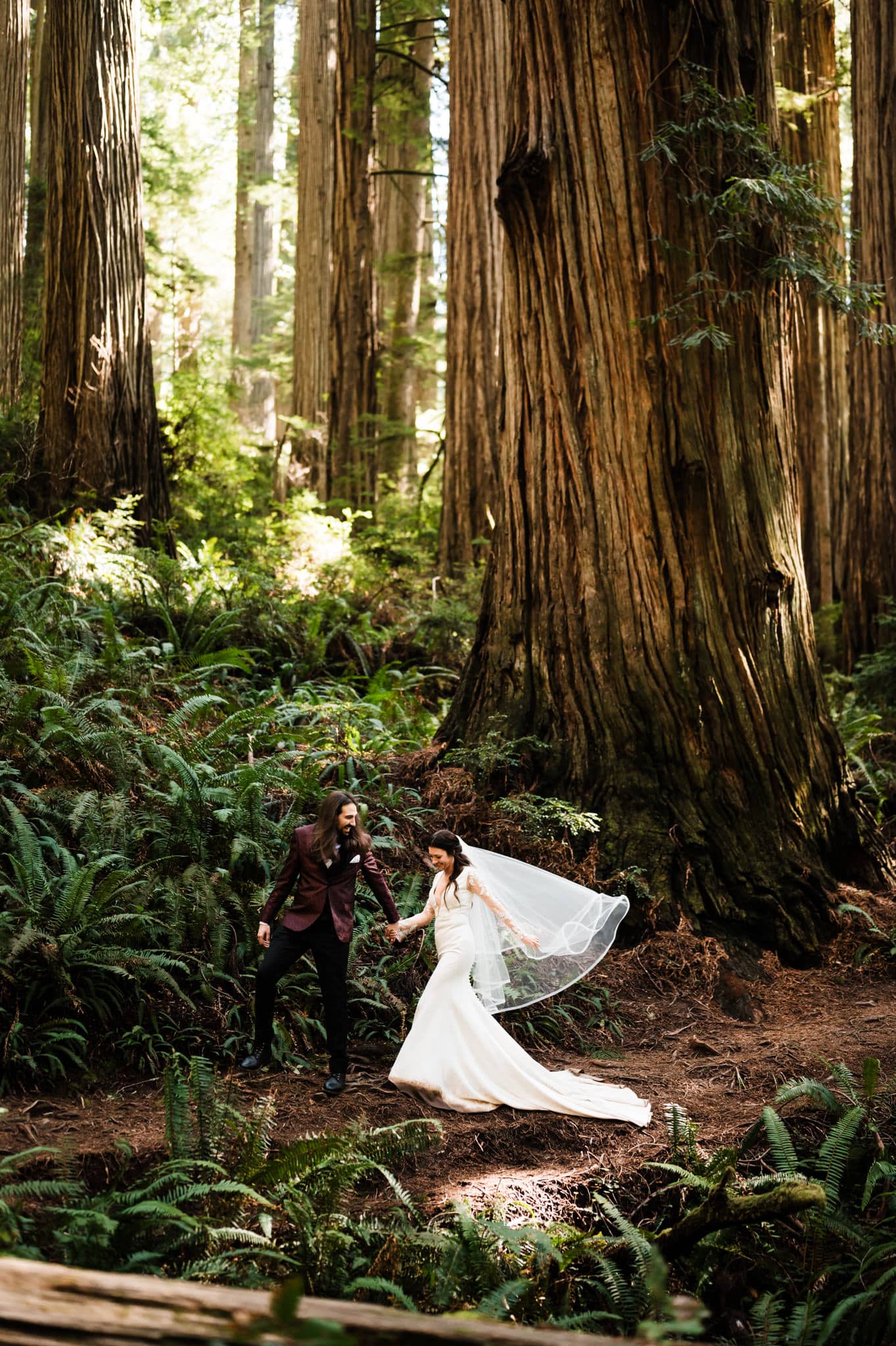 Elope In The Redwoods #1 Redwoods Elopement Photographer