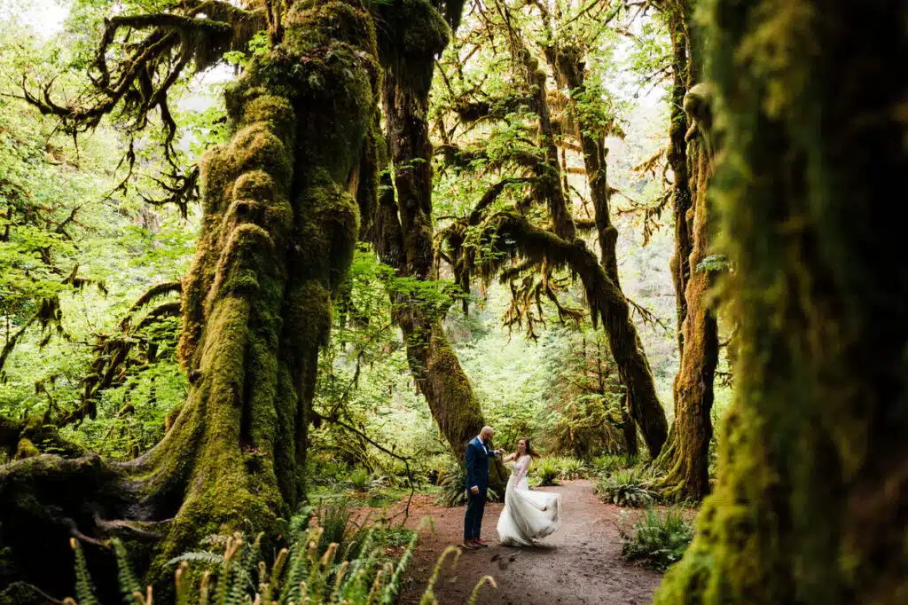 Magical May Elopement in Olympic National Park » Sam Starns Adventure ...